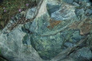 Peridotites: Dense, Coarse-Grained Ultramafic Intrusive Igneous Rocks